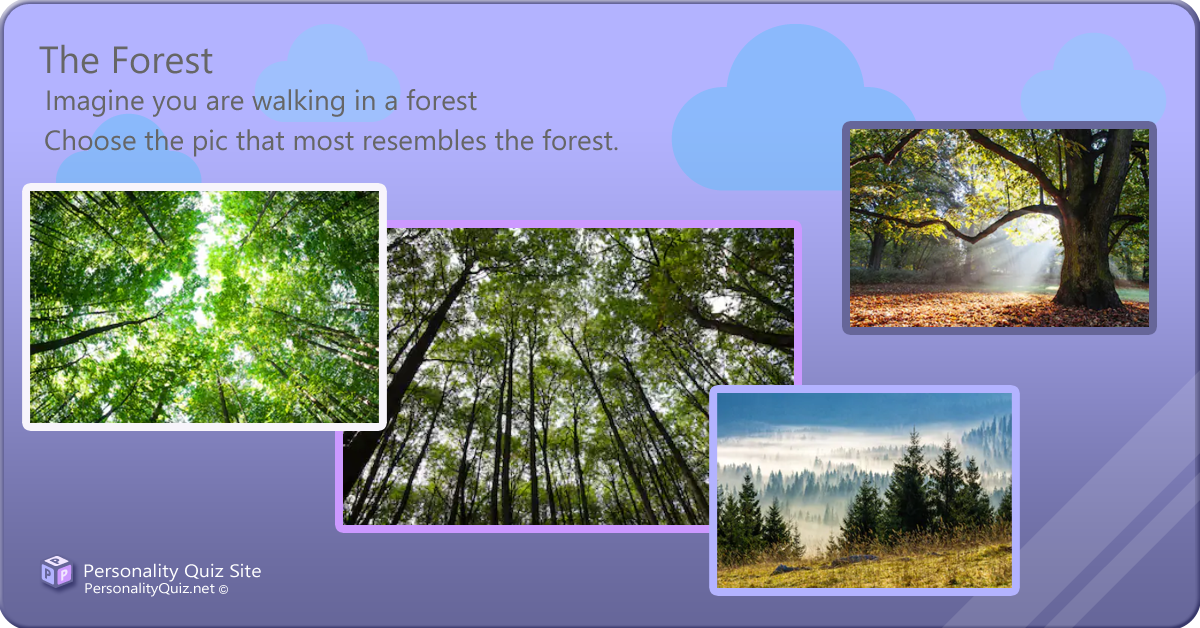 Forest Quiz: Explore your inner world and personality