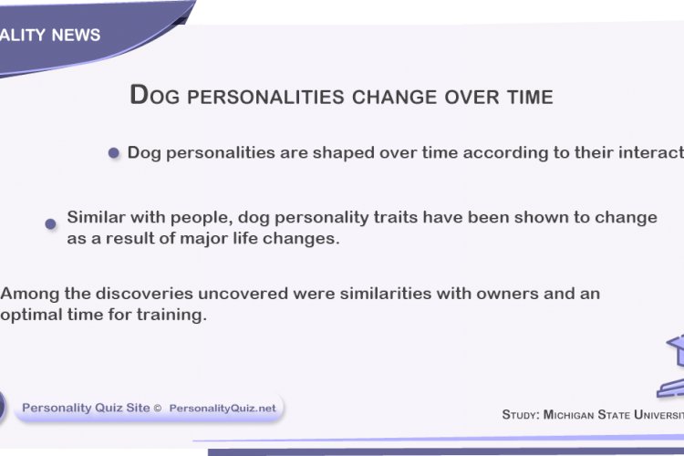 Dog personalities change over time - Academic studies and research into ...